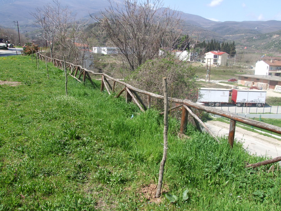 ΦΥΤΕΥΣΗ ΔΕΝΤΡΩΝ ΚΑΙ ΕΥΠΡΕΠΙΣΜΟΣ ΚΟΙΝΟΧΡΗΣΤΩΝ ΧΩΡΩΝ